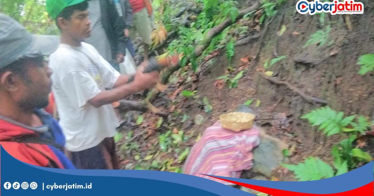 Melestarikan budaya Lokal, Suku Manesanulu Haliren lakukan Ritual adat ...